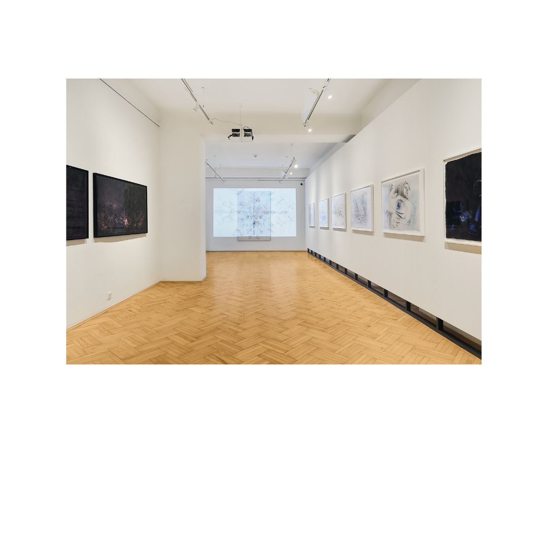 Jana Kasalov Geoanatomie Prostoru Severo esk Galerie V tvarn ho Jana Kasalov Geoanatomie Prostoru Severo esk Galerie V tvarn ho